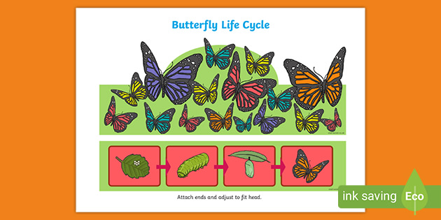 Butterfly Life Cycle Headband (Teacher-Made)