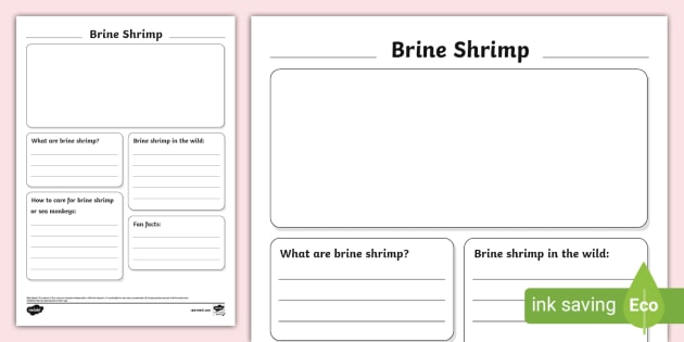 * NEW * Brine Shrimp Fact File Template (teacher made)