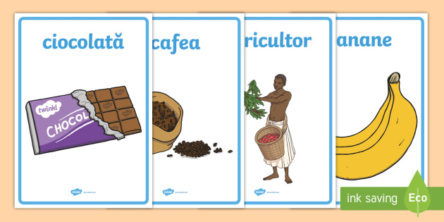 Comerț echitabil Planșe cu vocabular (teacher made)