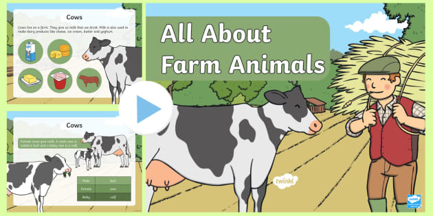 The Farm Aistear Animals PowerPoint (teacher made)