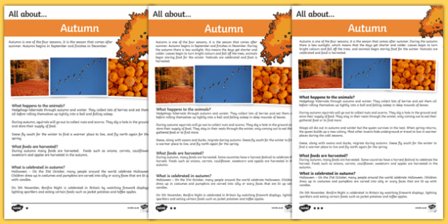 Autumn Differentiated Fact File (teacher made)