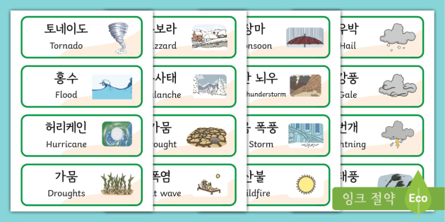 자연 재해 단어 카드 Natural Disasters Word Cards (Korean & English)