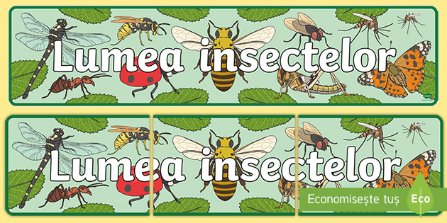 Lumea insectelor - Banner