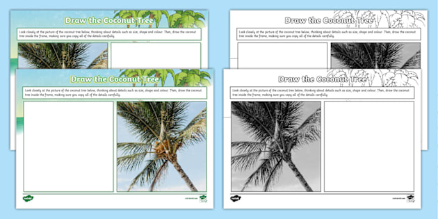 Coconut Tree Artworks | twinkl.co.uk