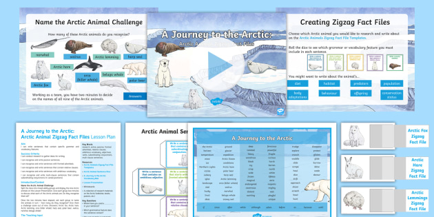 Non-chronological reports: Arctic Animal Fact File Lesson Pack
