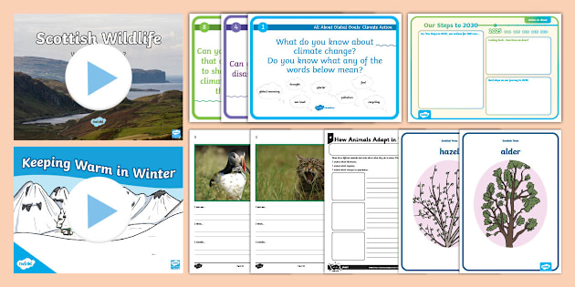 Engaging Science Activities • Twinkl.com.au