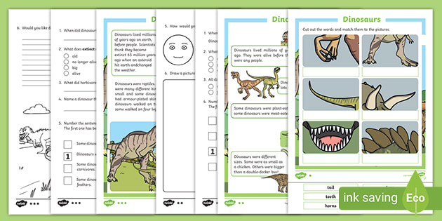 Let’s Learn About Dinosaurs | Reading Comprehension | Twinkl