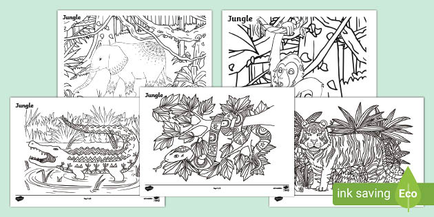 Jungle Journey Colouring Pages (teacher made)