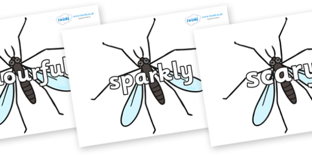 FREE! - Wow Words on Daddy long legs (Teacher-Made)