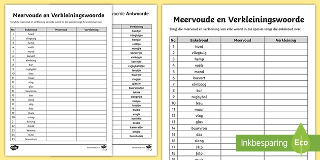 Meervoud en Verkleiningswoorde Aktiwiteit (teacher made)