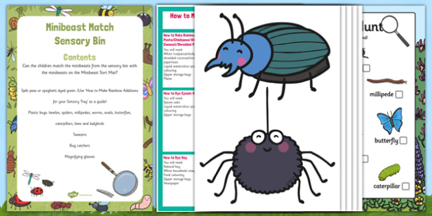 Minibeast Match Sensory Bin (teacher made)
