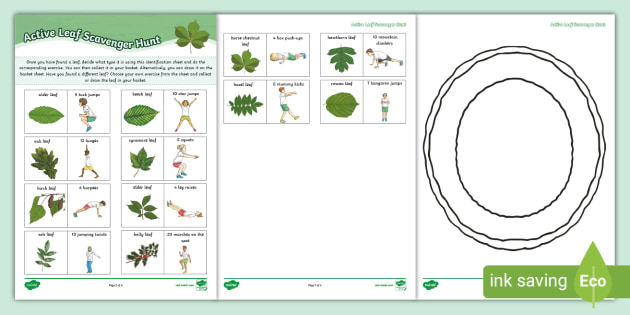 KS2 Active Leaf Identification Scavenger Hunt