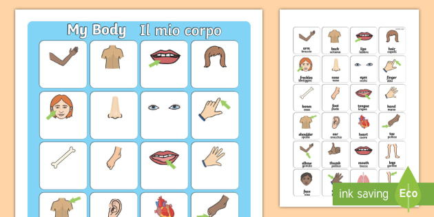 My Body Vocabolary Matching Mat English/Italian - My Body Vocabulary ...