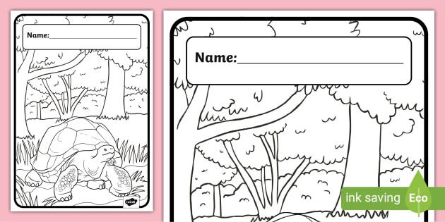 FREE! - Tortoise Colouring Book Cover (teacher made)