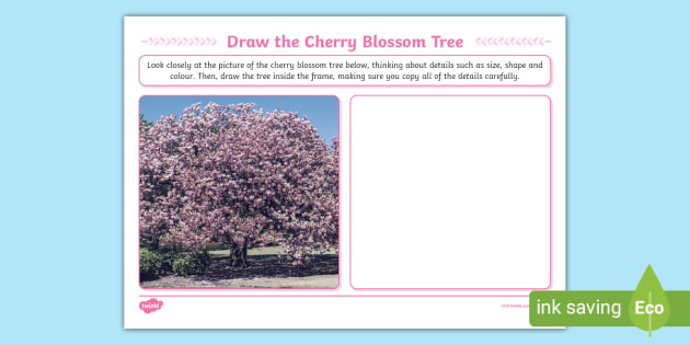 Draw the Cherry Blossom Tree Activity (teacher made)