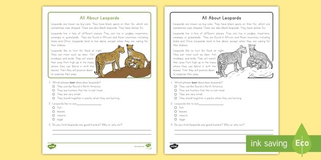 Leopards Differentiated Reading Comprehension Activity