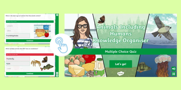 Science: Animals Including Humans: Year 3: Interactive Quiz