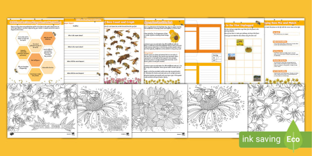 World Bee Day Intermediate Ultimate Teaching Pack