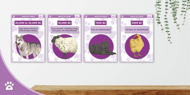 Month of Pets Timeline Posters (teacher made)