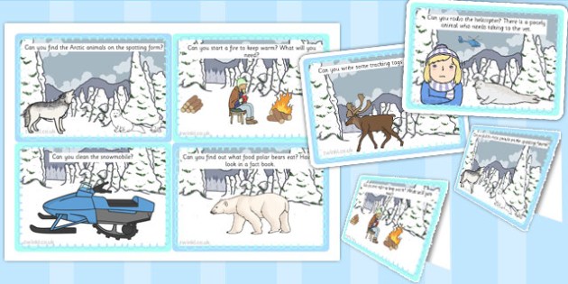 Arctic Explorer Role Play Challenge Cards (teacher made)