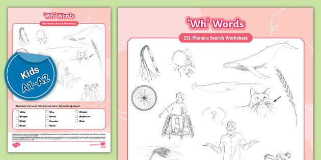 Search Worksheets | twinkl.co.uk