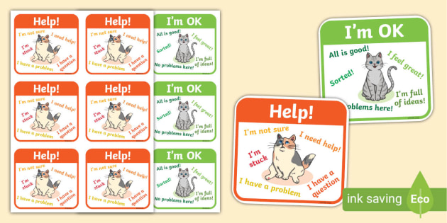 Cat Themed (teacher made)