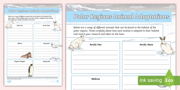 Animal Adaptations | twinkl.co.uk