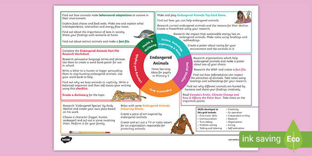 P5 Endangered Animals Mini Home Learning Topic