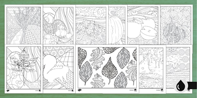 Detailed Colouring Pages | twinkl.co.uk