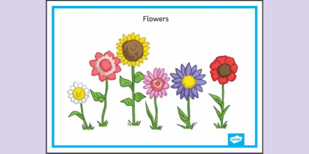 FREE! - Cute Flowers Poster | Primary Resources | Twinkl