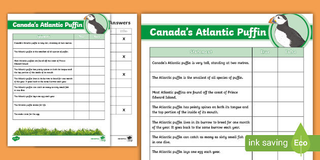 Atlantic Puffin True or False Activity - Grades 4-6