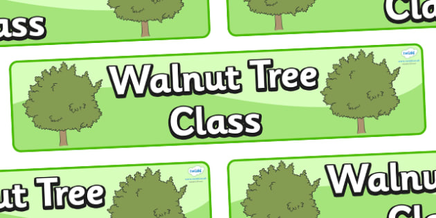 FREE! - Walnut Tree Themed Classroom Display Banner