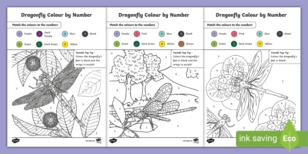 FREE! - Dragonfly Colour by Number Pages (teacher made)