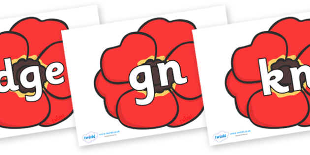 Poppy Images | twinkl.co.uk