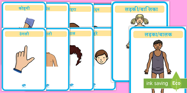 शरीर के अंग Body Parts Display Posters