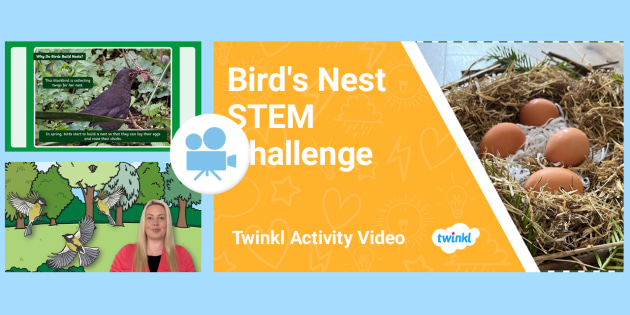 FREE! - KS1 (Ages 5-7) Activity Video: Building a Bird's Nest STEM ...