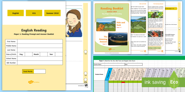 Year 2 2018 Summer Term Reading Assessment Pack