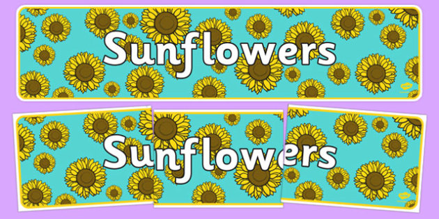 👉 Sunflowers Display Banner (teacher made)