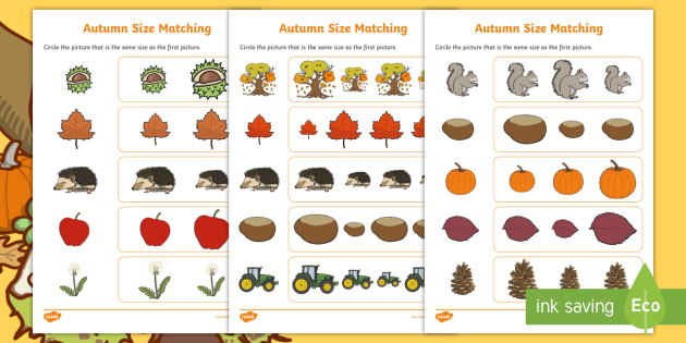 Autumn Themed Size Matching Worksheets (teacher made)