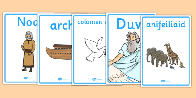 Posteri geirfa Arch Noa (teacher made)