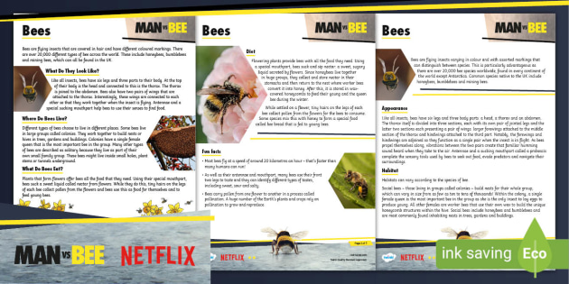 FREE! - Bee Fact Sheet | Man vs Bee | Netflix Resources