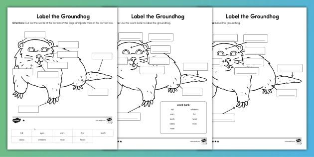 Label the Groundhog Worksheets | Groundhog Day | Twinkl