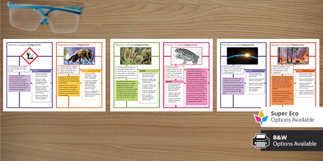Relationships in Ecosystems Challenge Cards | Beyond