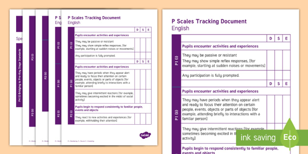 P Scales Tracking English Pocket Book (teacher made)