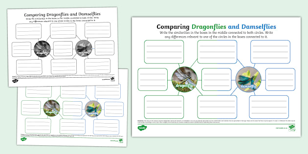 Comparison Mind Maps | twinkl.ca