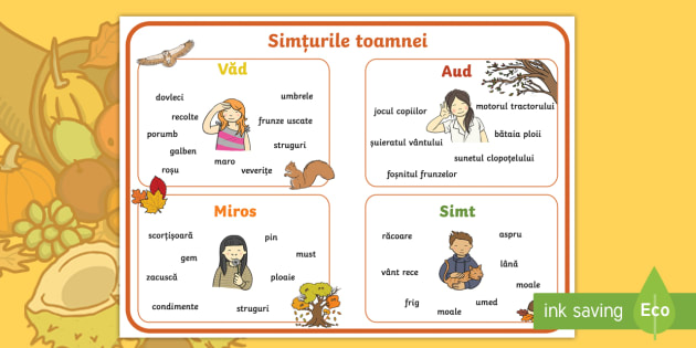 Simțurile toamnei Planșă cu vocabular