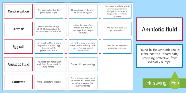 Reproduction Pairs Glossary Activity (teacher made)