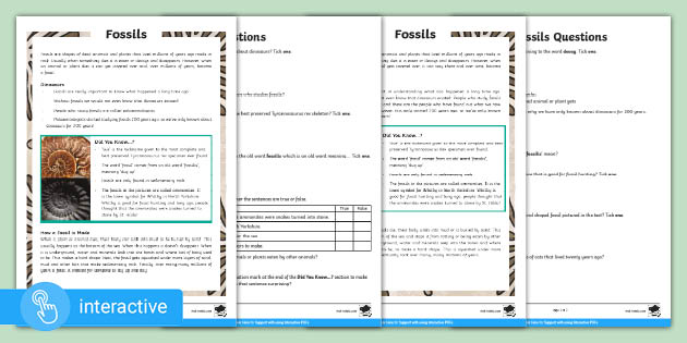 Interactive PDF: What are Fossils? KS2 Reading Comprehension