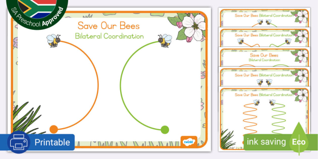 Save Our Bees Bilateral Coordination Activity Mats