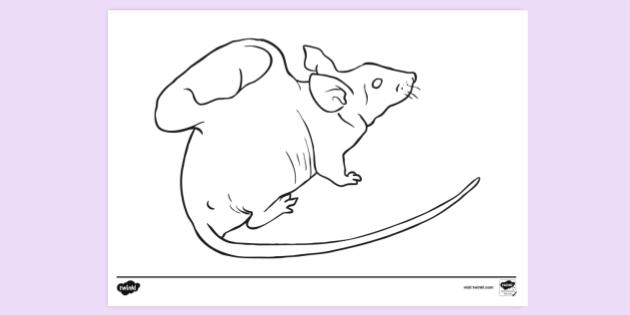 FREE! - Ear Mouse Colouring Sheets | Colouring Pages